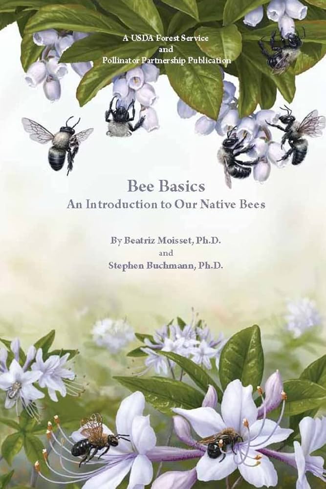 Book Interview: Bee Basics – Athena Rayne Anderson